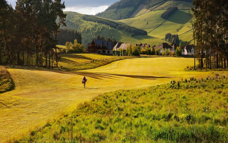 Cardrona 2024 | Springfield Golf – SPRINGFIELD GOLF