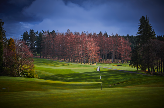 Springfield Golf | Golf Events & Tournaments – SPRINGFIELD GOLF
